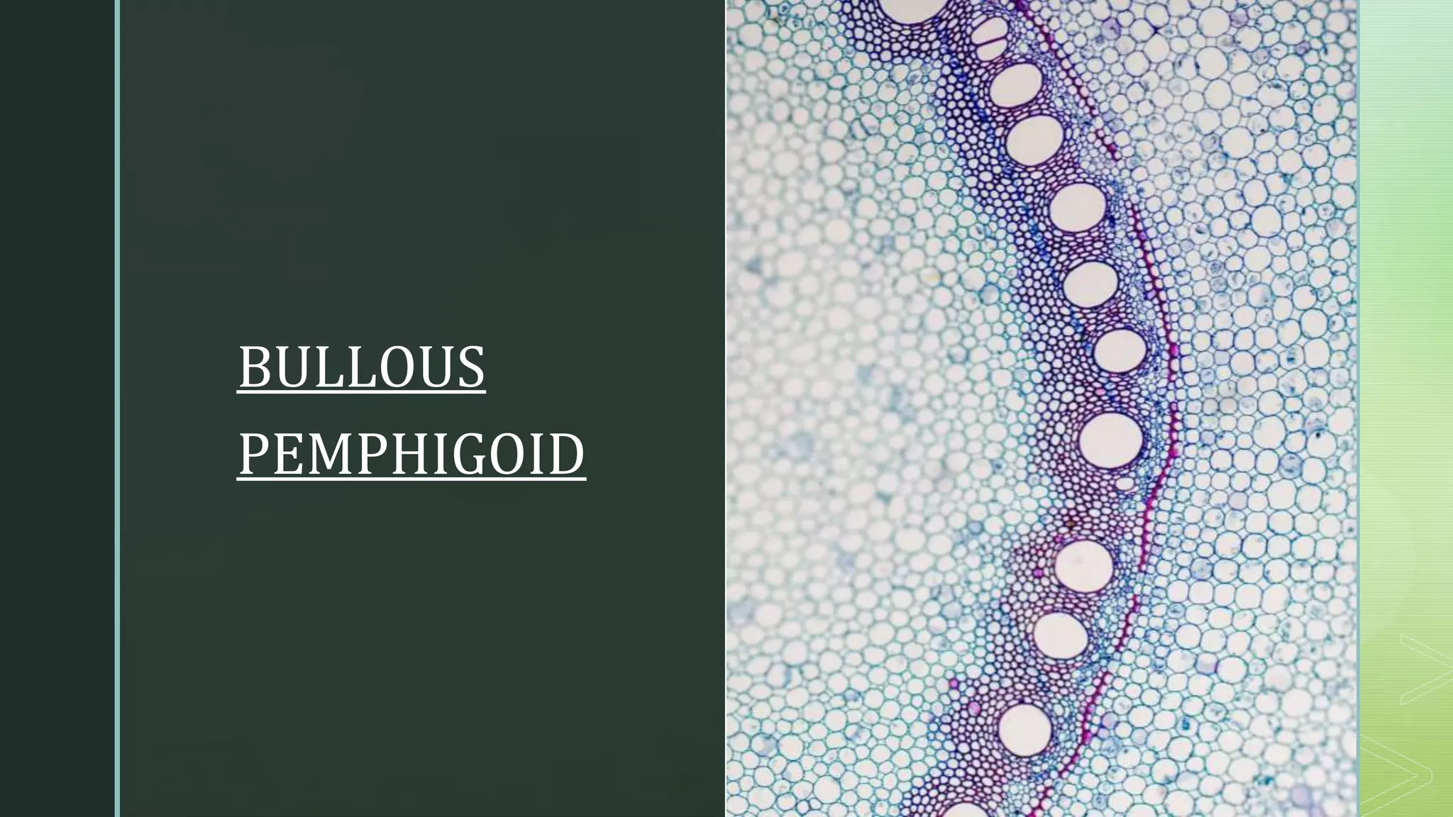 VESICULO BULLOUS LESIONS | PPTX