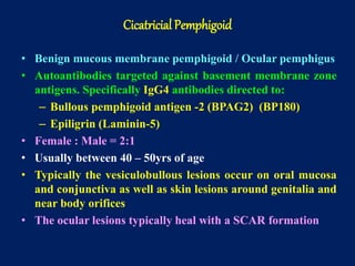 Benign Mucous Membrane Pemphigoid