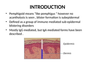 bullous dermatosis in dermatology part 2.pptx