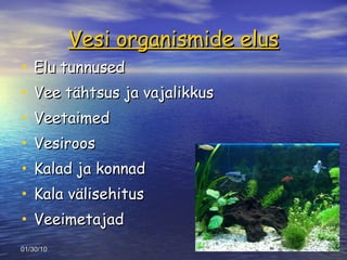 Vesi Elukeskkonnana | PPT