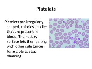 Vessels connected to the heart | PPT
