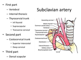Vessels of head, neck & face | PPT