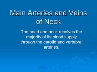 Vessels of Neck.pptx