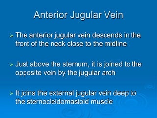 Vessels of Neck.pptx