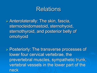 Vessels of Neck.pptx