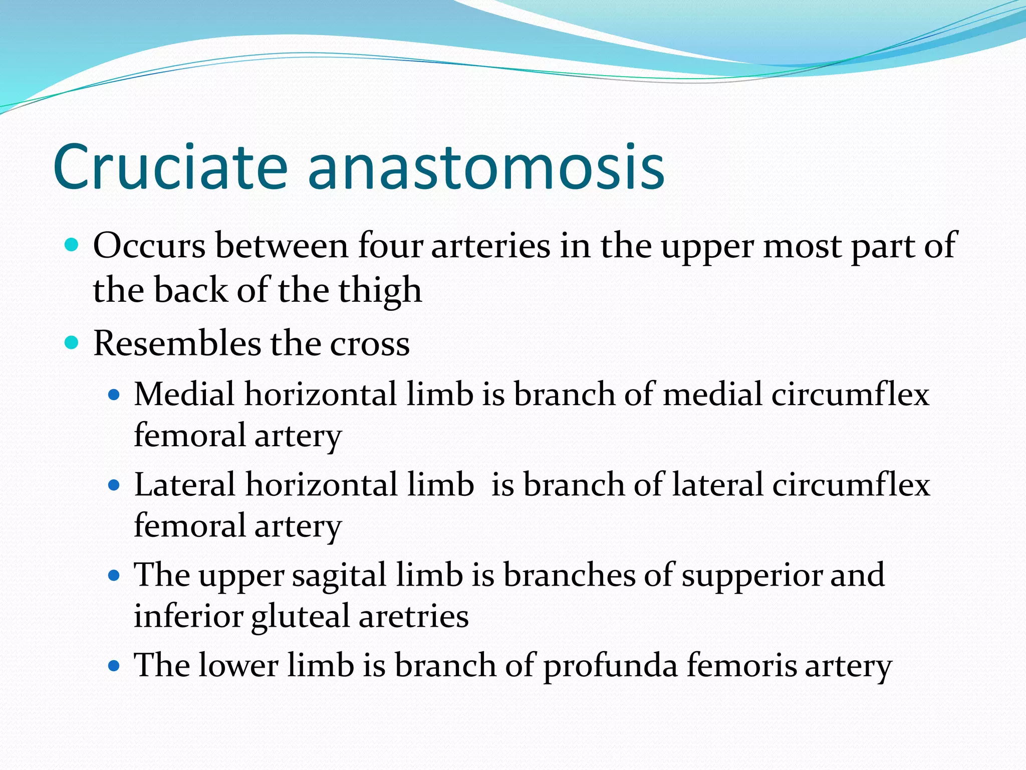 Vessels of the lower limb.ppt