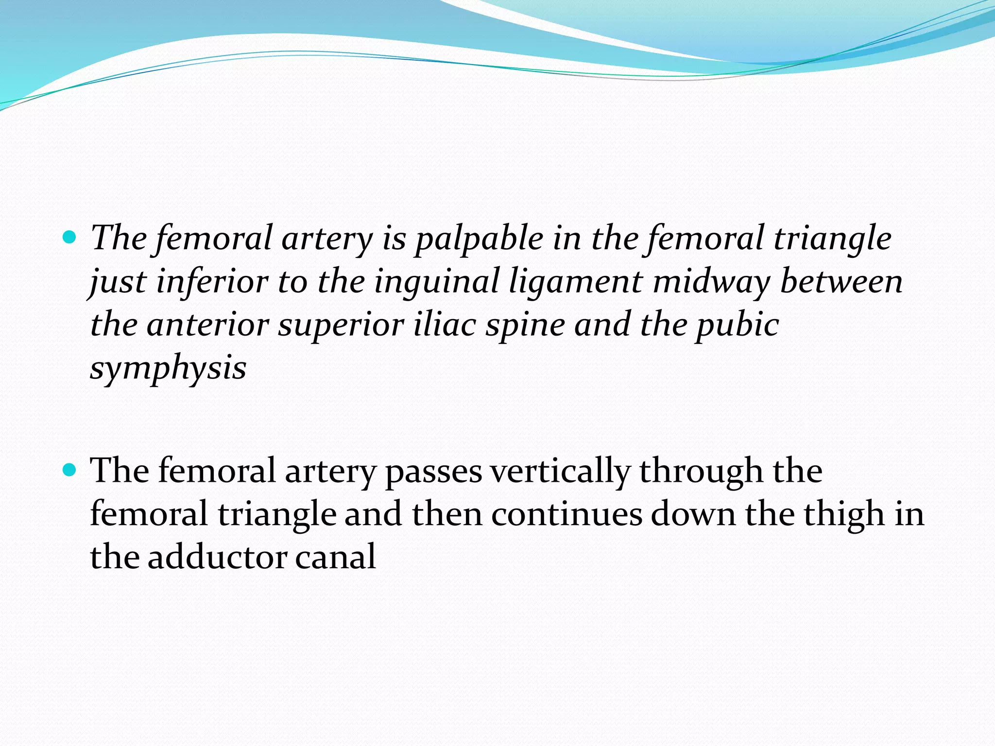 Vessels of the lower limb.ppt