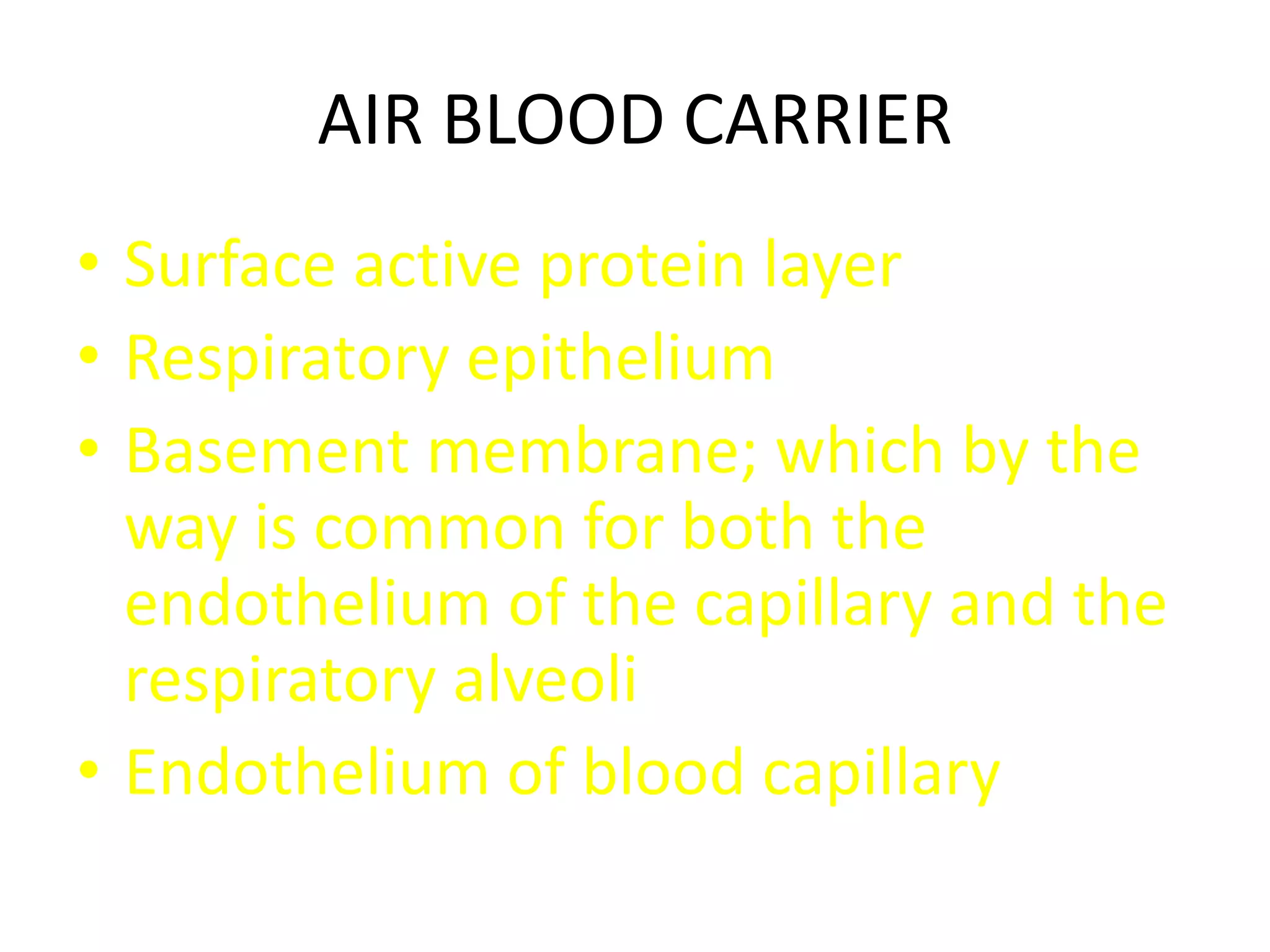 Anatomy of the Microcirculatory Bed | PPTX