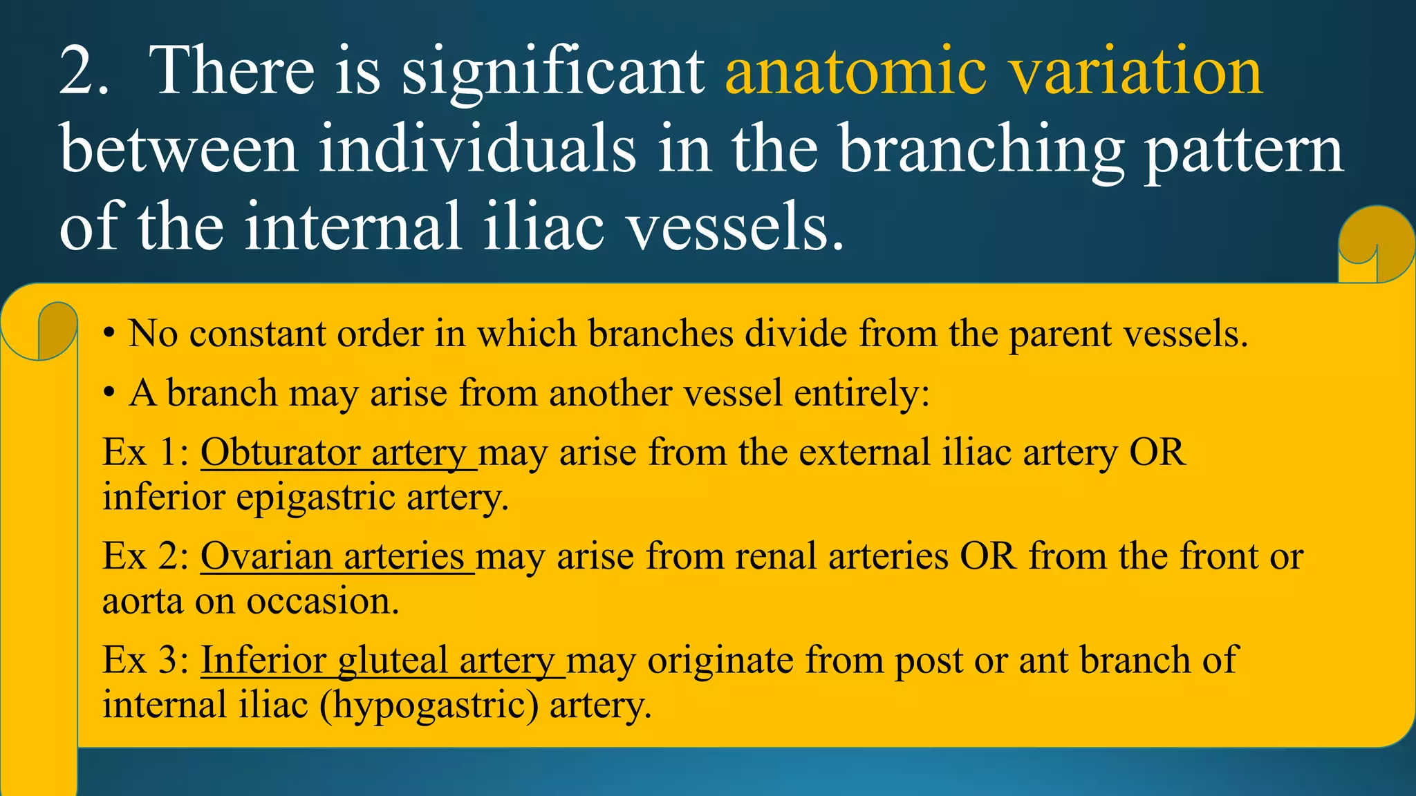 Vessels of the pelvis | PDF