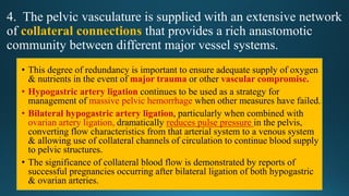 Vessels of the pelvis | PDF