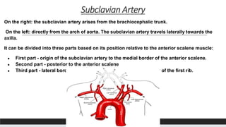 Vessels of upper limb..pptx