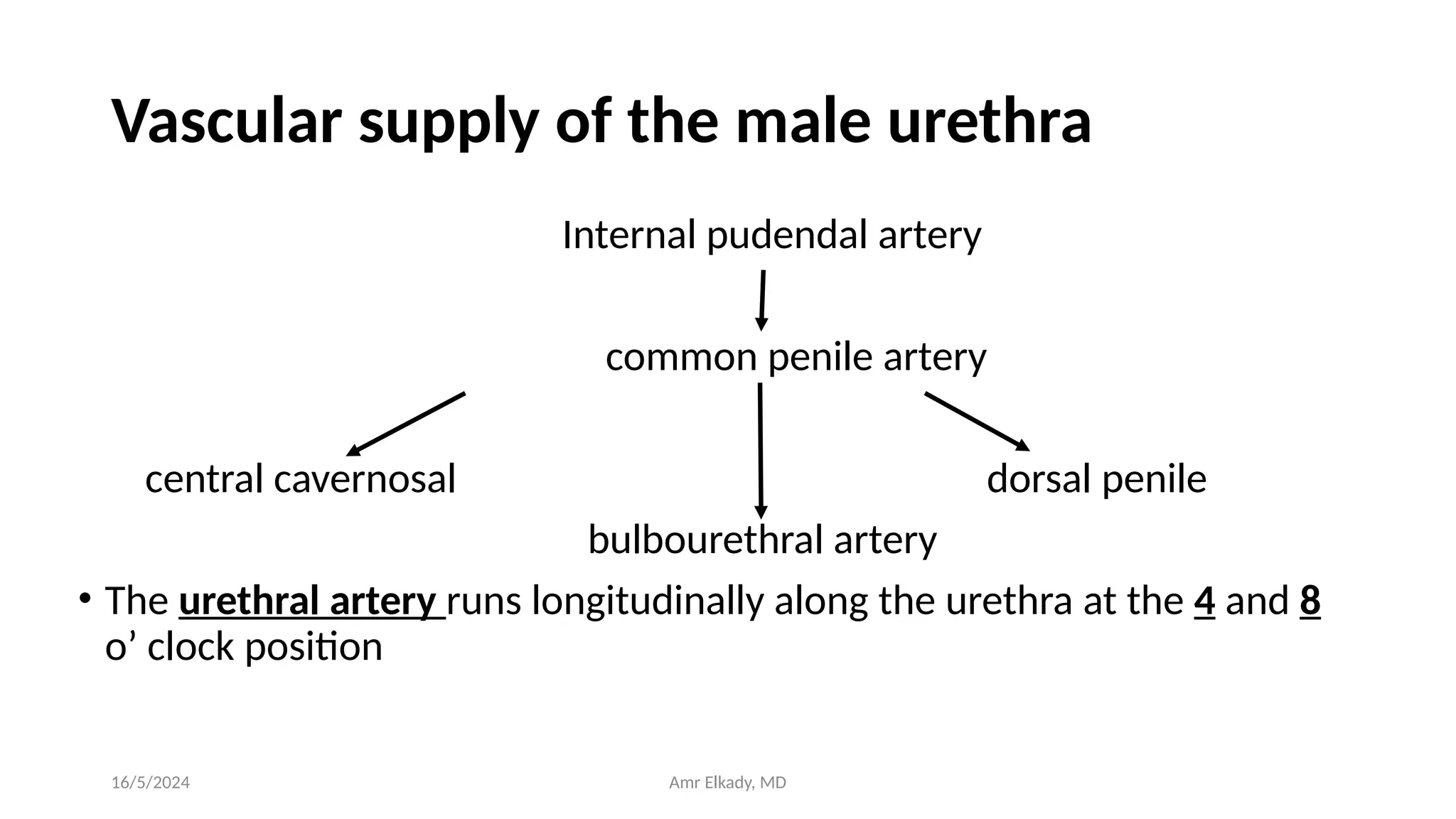 Vessel sparing and Non transecting EPA 2024.pptx