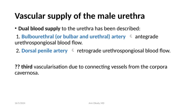 Vessel sparing and Non transecting EPA 2024.pptx | Sexual Conditions ...