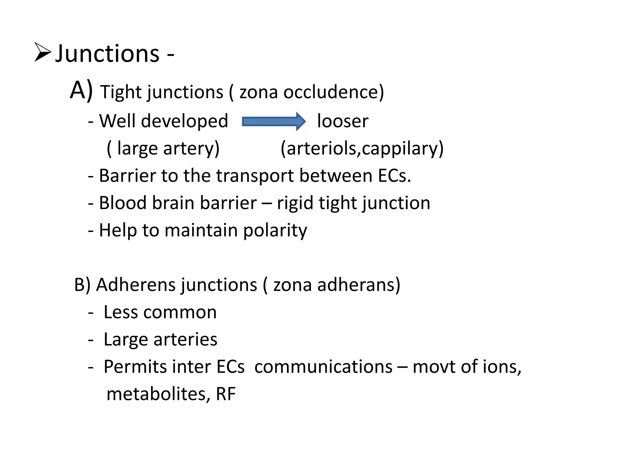 Vessel wall biology | PPTX