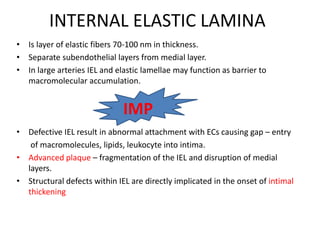 Vessel wall biology | PPTX