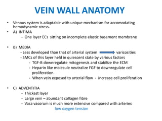 Vessel wall biology | PPTX