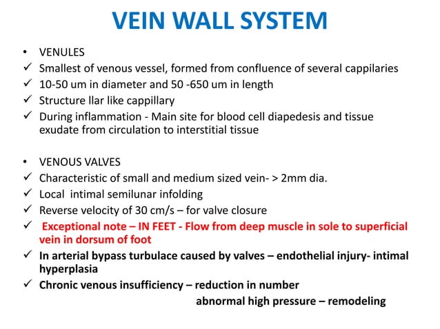 Vessel wall biology | PPTX | Biological Sciences | Science