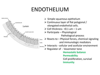 Vessel wall biology | PPTX