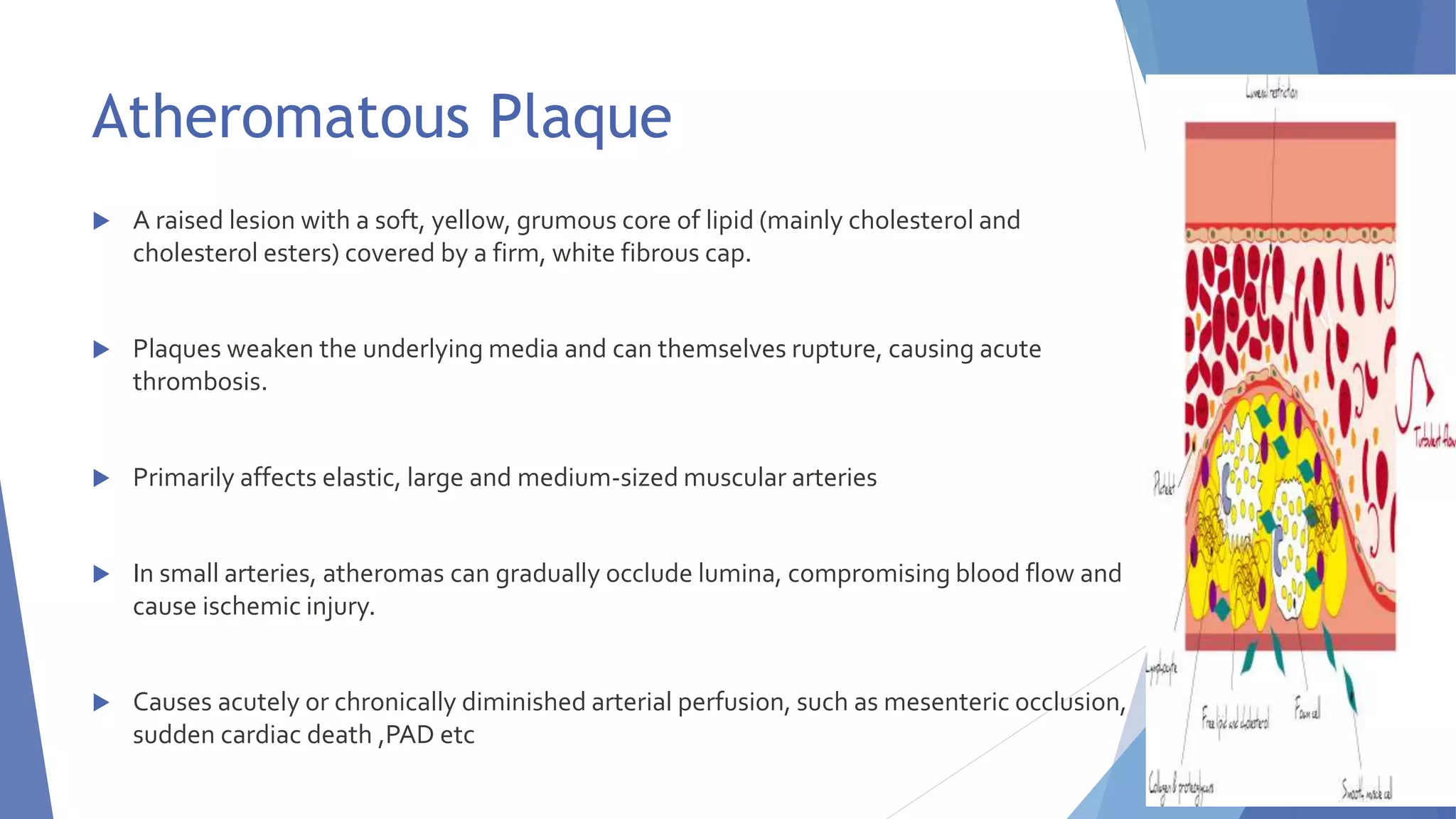 Vessel Wall Biology & Atherosclerosis.pptx
