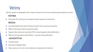 Vessel Wall Biology & Atherosclerosis.pptx