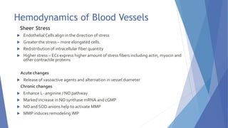 Vessel Wall Biology & Atherosclerosis.pptx