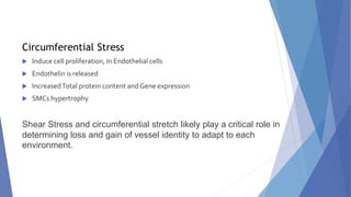 Vessel Wall Biology & Atherosclerosis.pptx