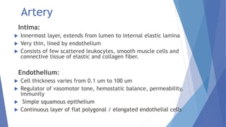Vessel Wall Biology & Atherosclerosis.pptx