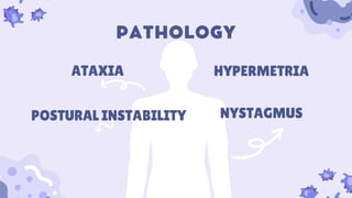 Vestibular Neuro Anatomy - Slide Power Point | PPTX