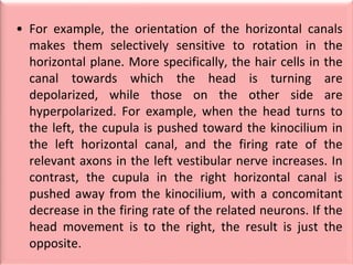 Vestibular Anatomy and Physiology- شيرين.pptx