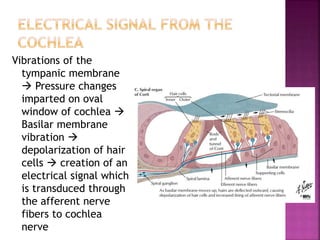 Vestibular and Cerebellar Ataxia - Julius King Kwedhi | PPTX