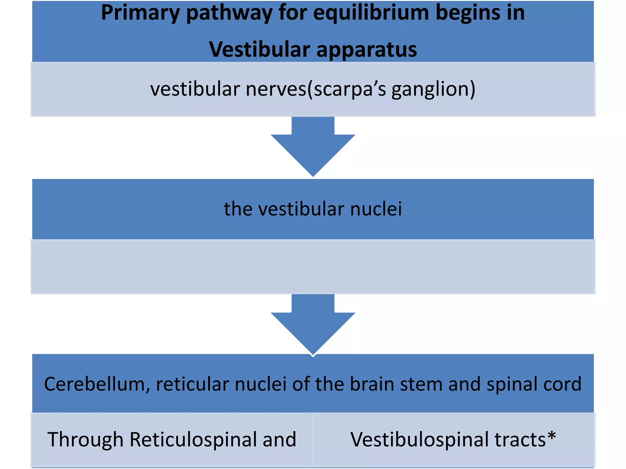 Vestibular apparatus | PPTX