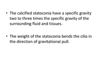 Vestibular apparatus | PPT