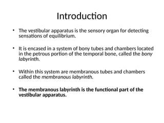physiology of vestibular system with vivid diagrams. | PPTX