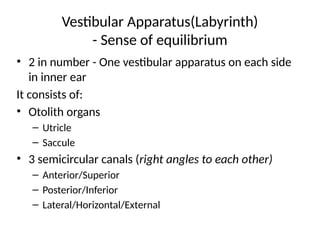 physiology of vestibular system with vivid diagrams. | PPTX