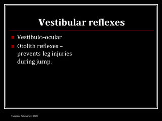 Vestibular apparatus | PPT | Brain and Nervous System Disorders ...