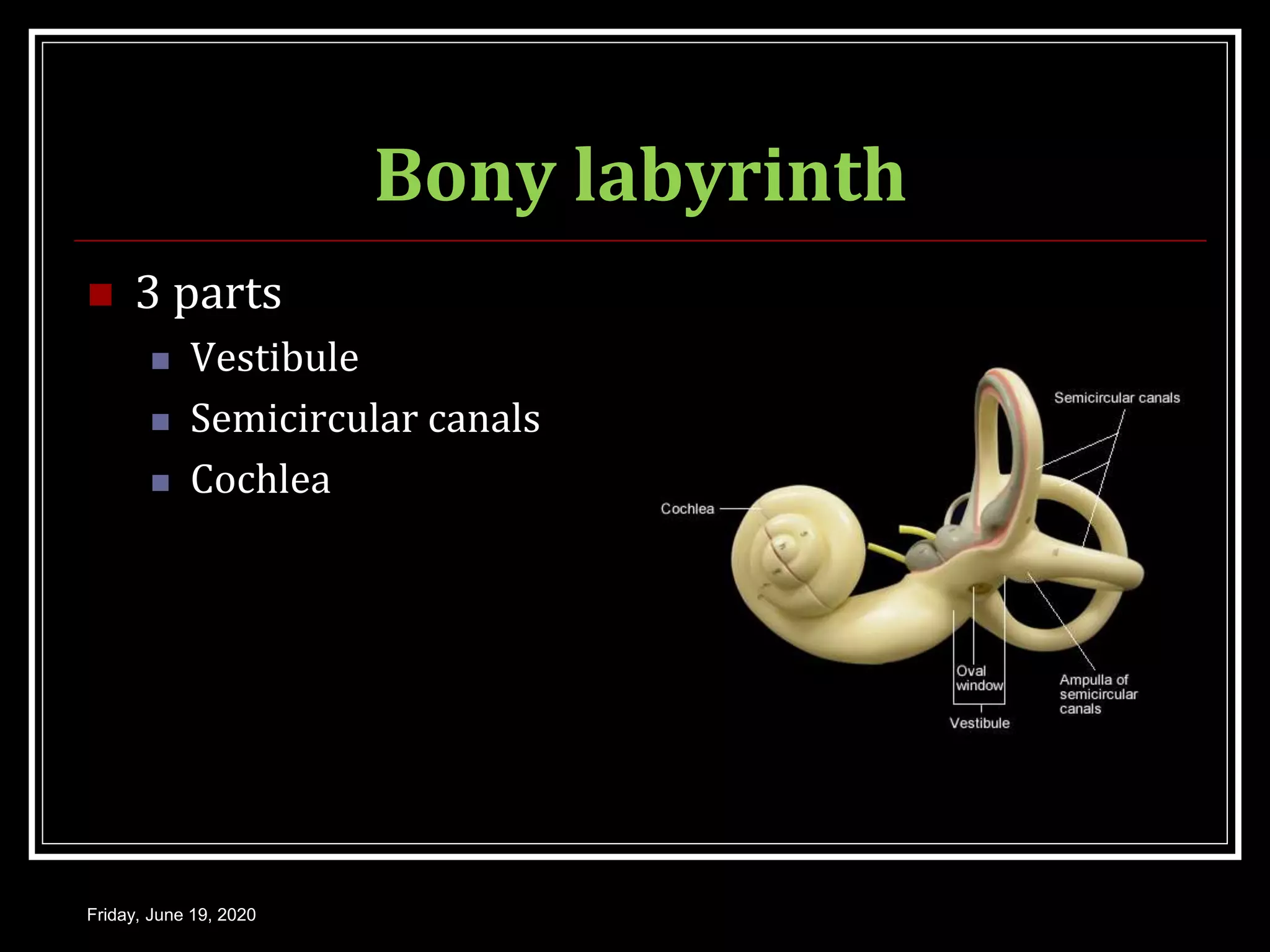 Vestibular apparatus | PPTX