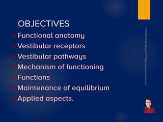Vestibular System Anatomy Function - Dr Rohit Bhaskar | PDF