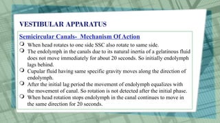 Vestibular Apparatus first year physiology | PPT