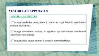 Vestibular Apparatus first year physiology | PPTX