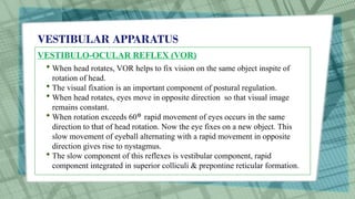 Vestibular Apparatus first year physiology | PPT
