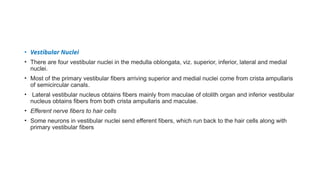 Vestibular Apparatus._structure_function | PPTX