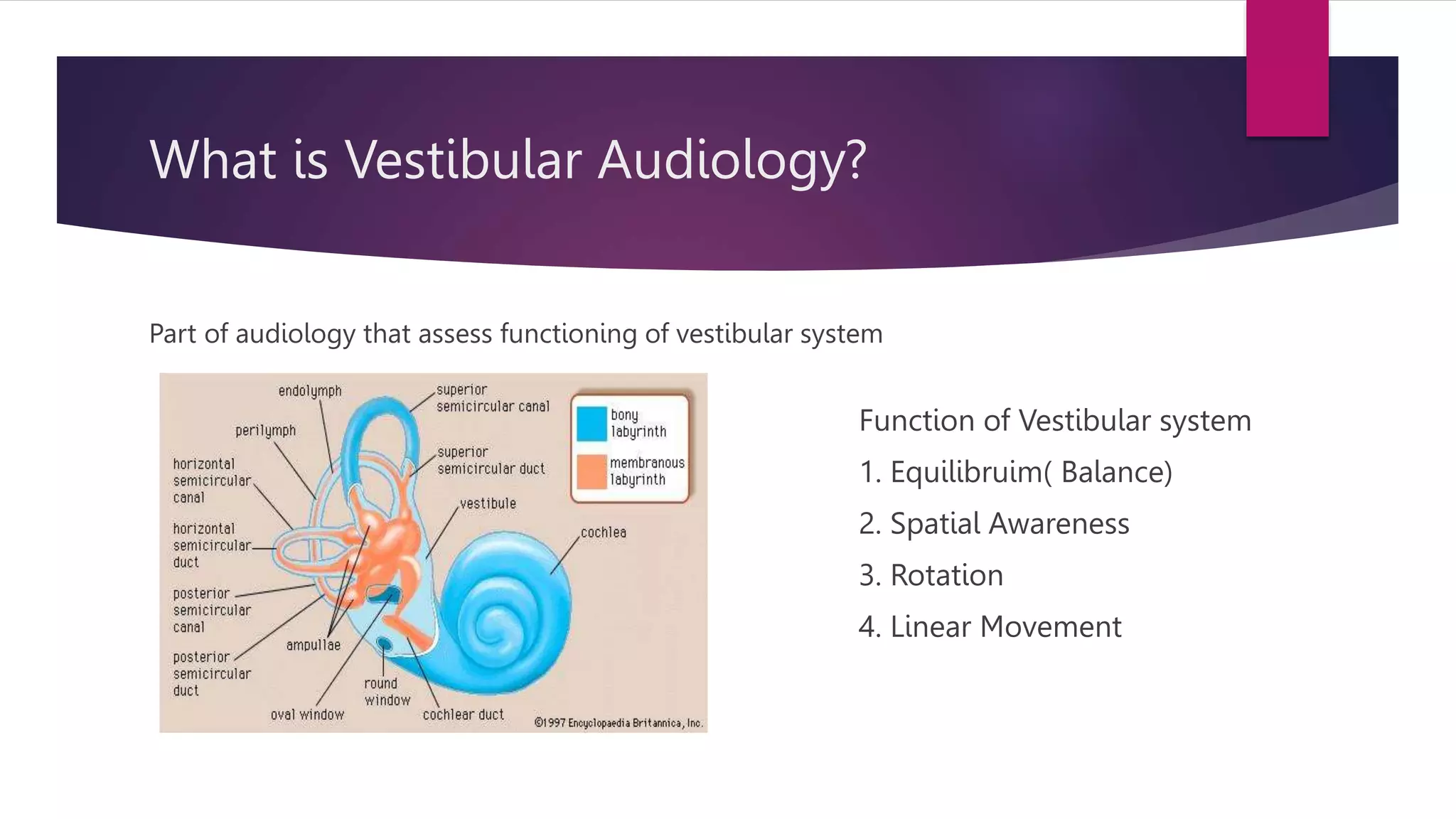 vestibular audiology.pptx