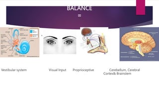 vestibular audiology.pptx