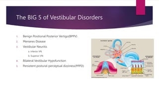 vestibular audiology.pptx