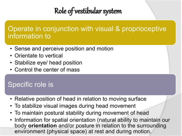 Vestibular disorder 1 (1).pptx
