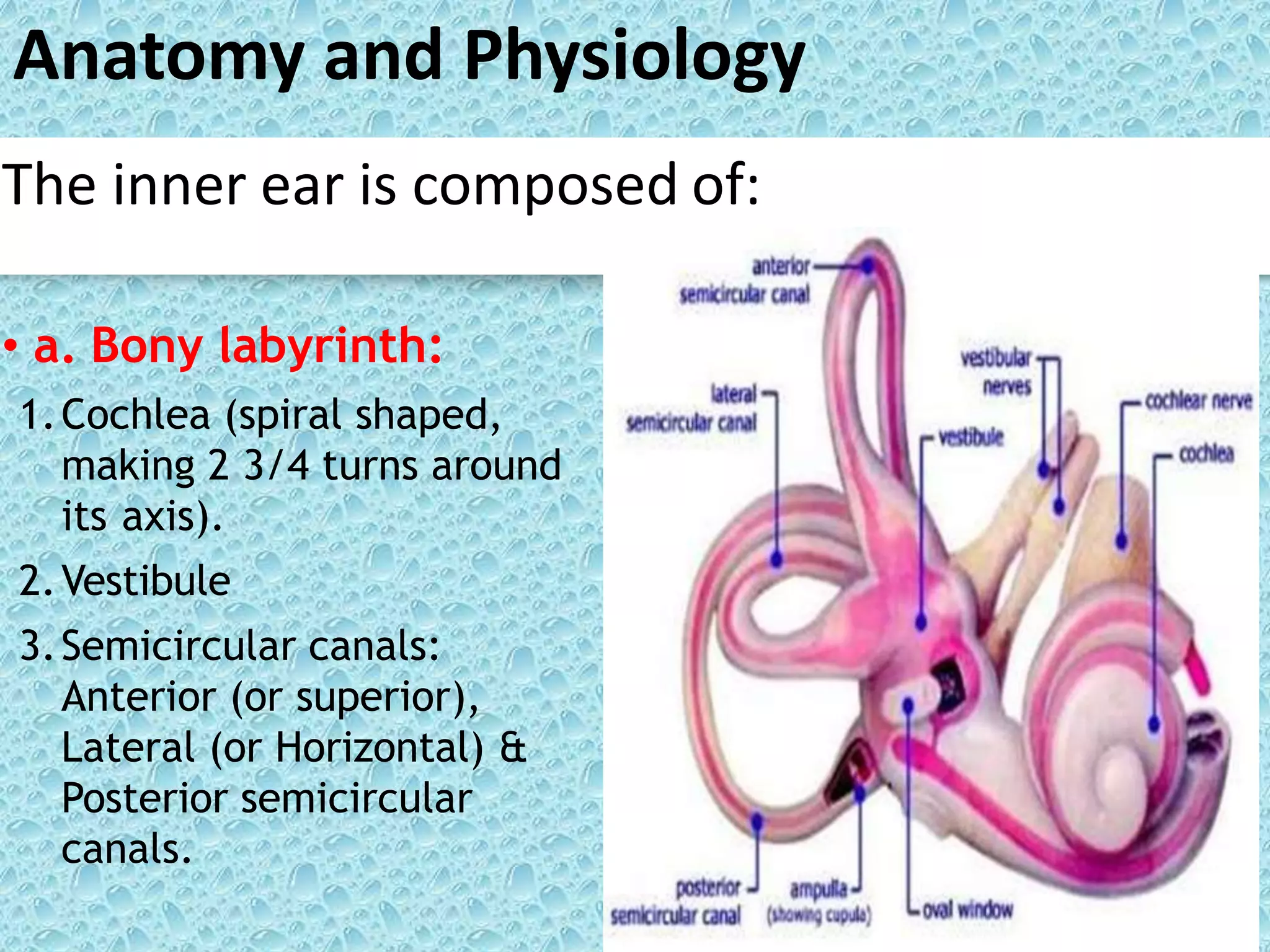 VESTIBULAR DISORDERS AND REHAB.pptx