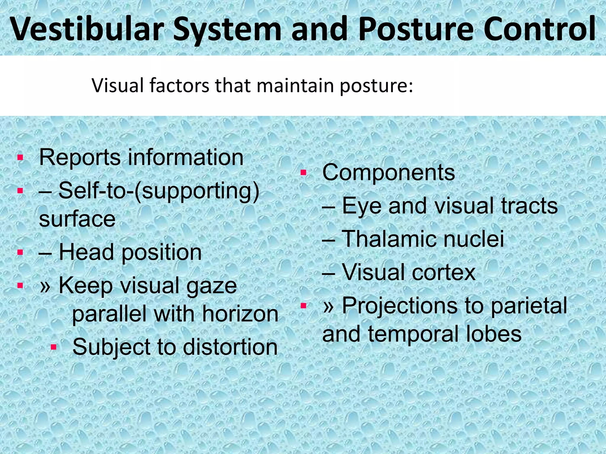 VESTIBULAR DISORDERS AND REHAB.pptx