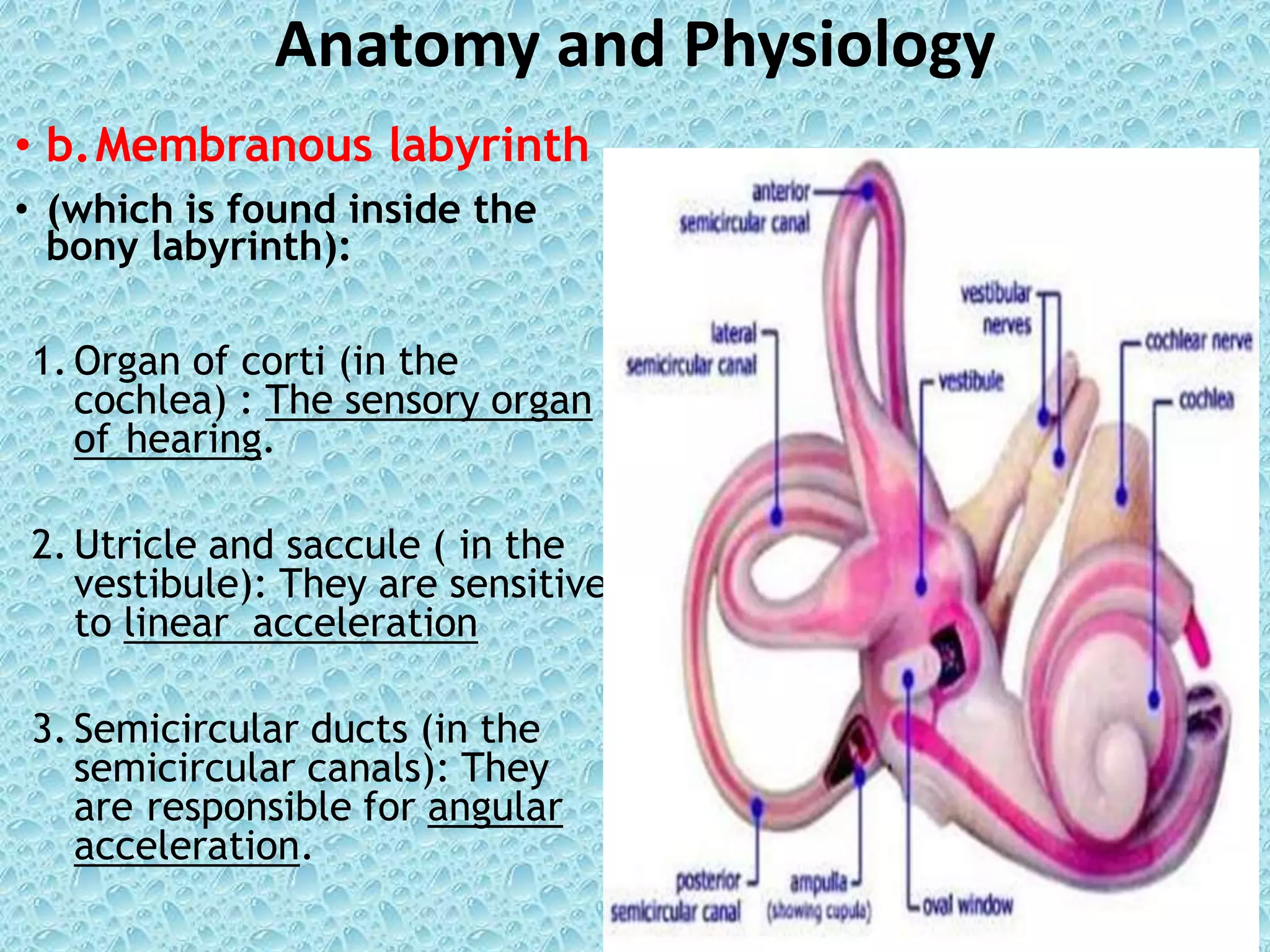 VESTIBULAR DISORDERS AND REHAB.pptx