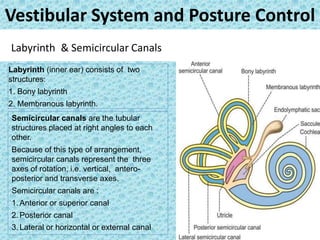 VESTIBULAR DISORDERS AND REHAB.pptx
