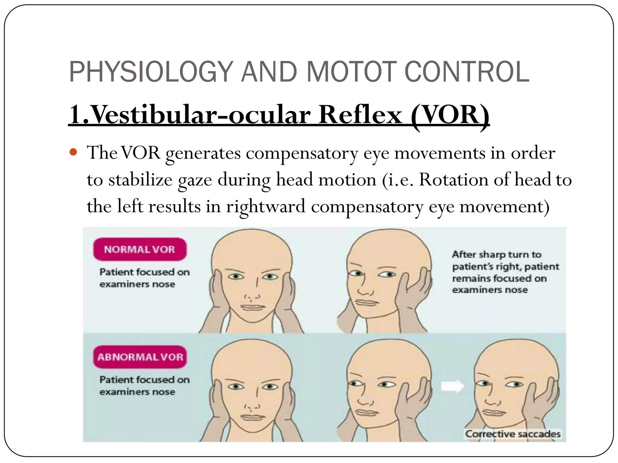 Vestibular dysfunctions | PDF